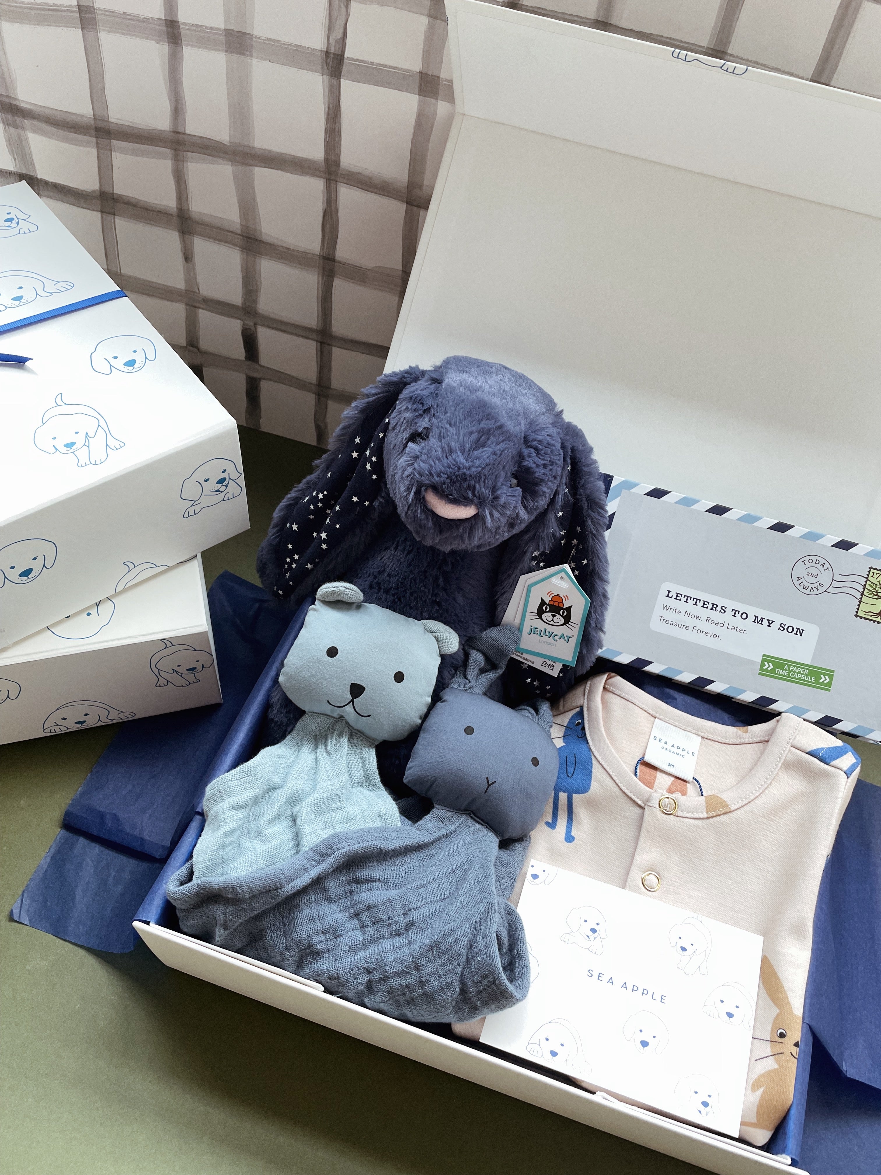 Baby Gift Sets – Sea Apple